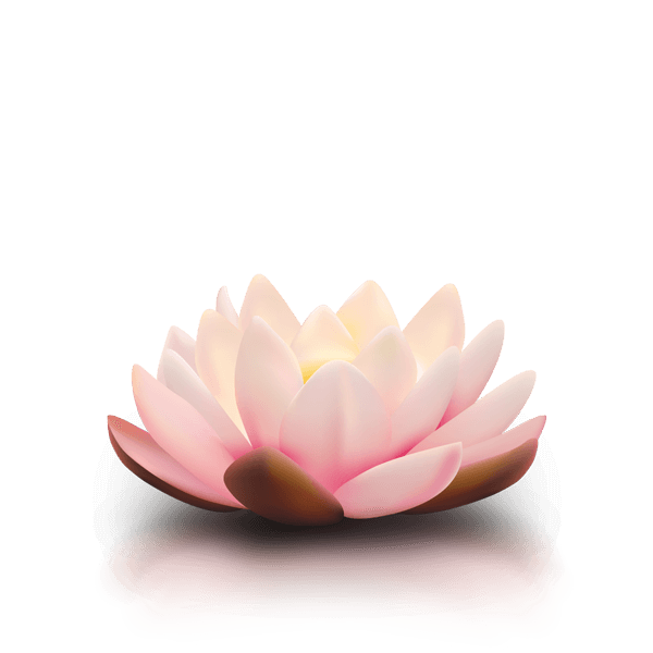 SyncMo x Magic Motion - Feel Everything You Watch